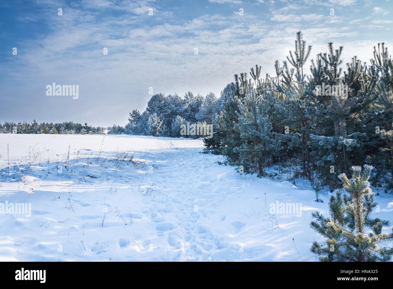 Panoramic snowy winter landscape without people it depicts snow and ...