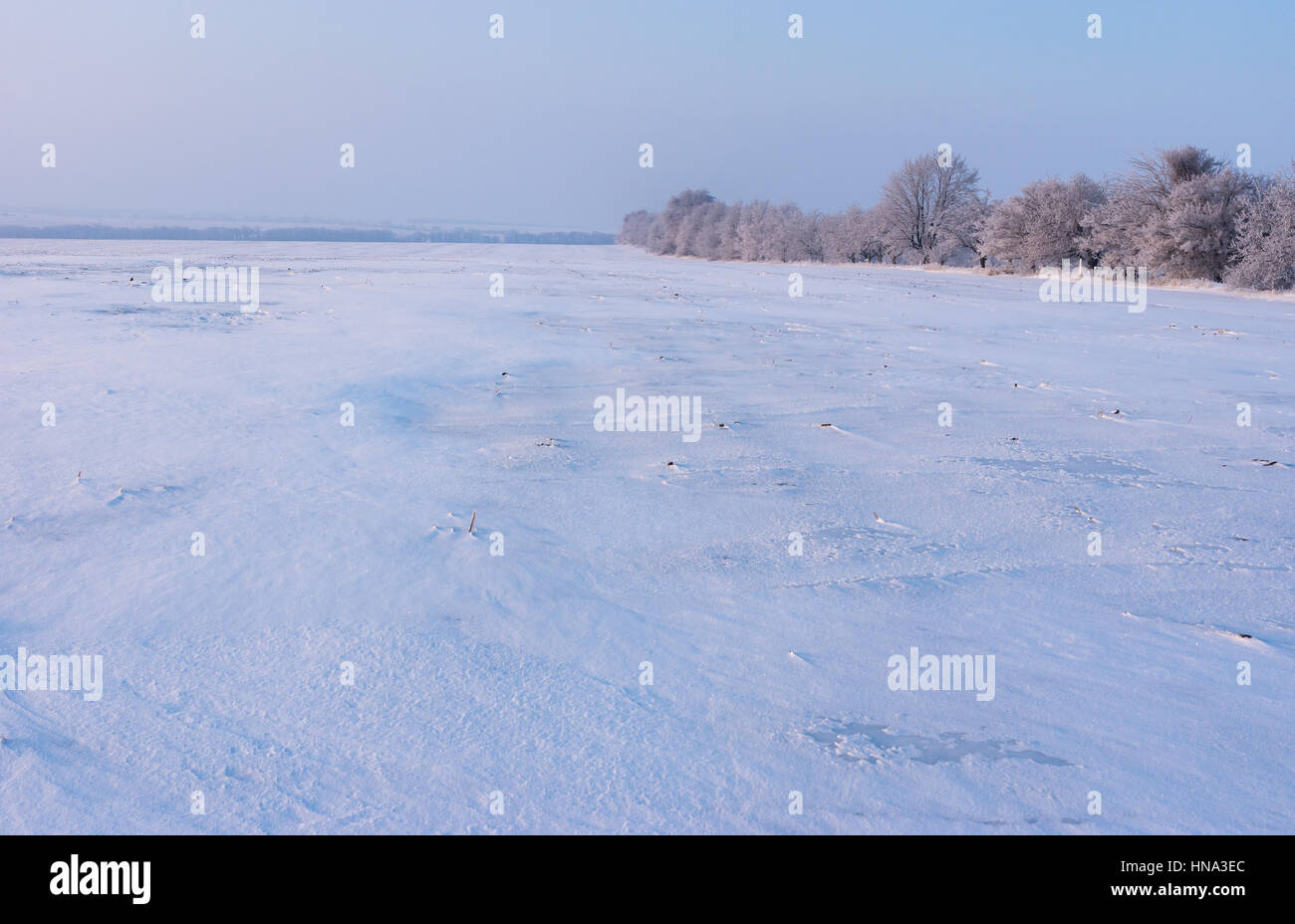 Drift planting hi-res stock photography and images - Alamy