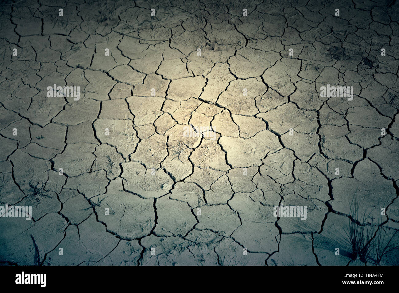 Dry land desert detail in the field, neglect and drought in the city ...