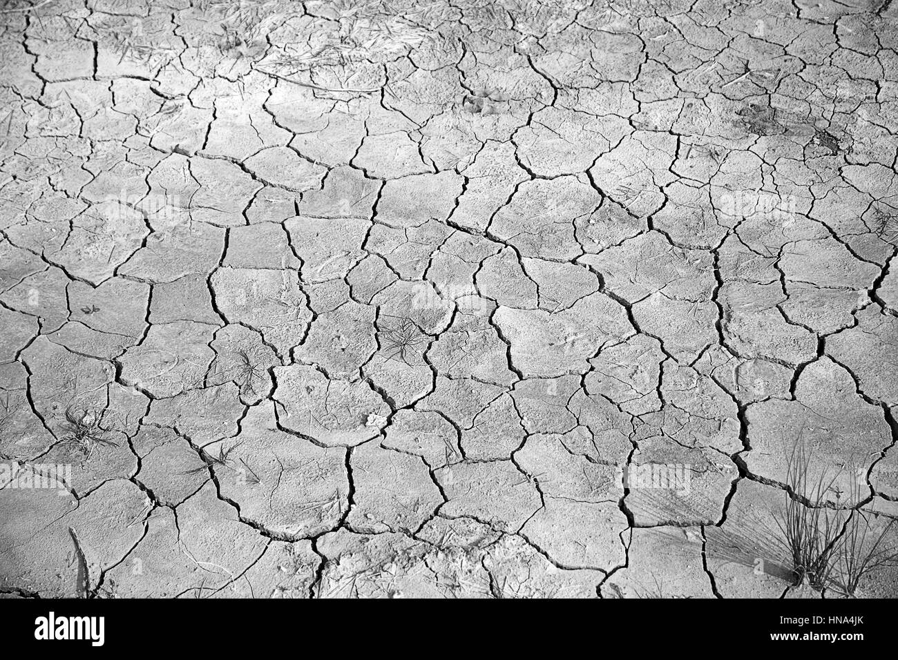 Dry land desert detail in the field, neglect and drought in the city ...
