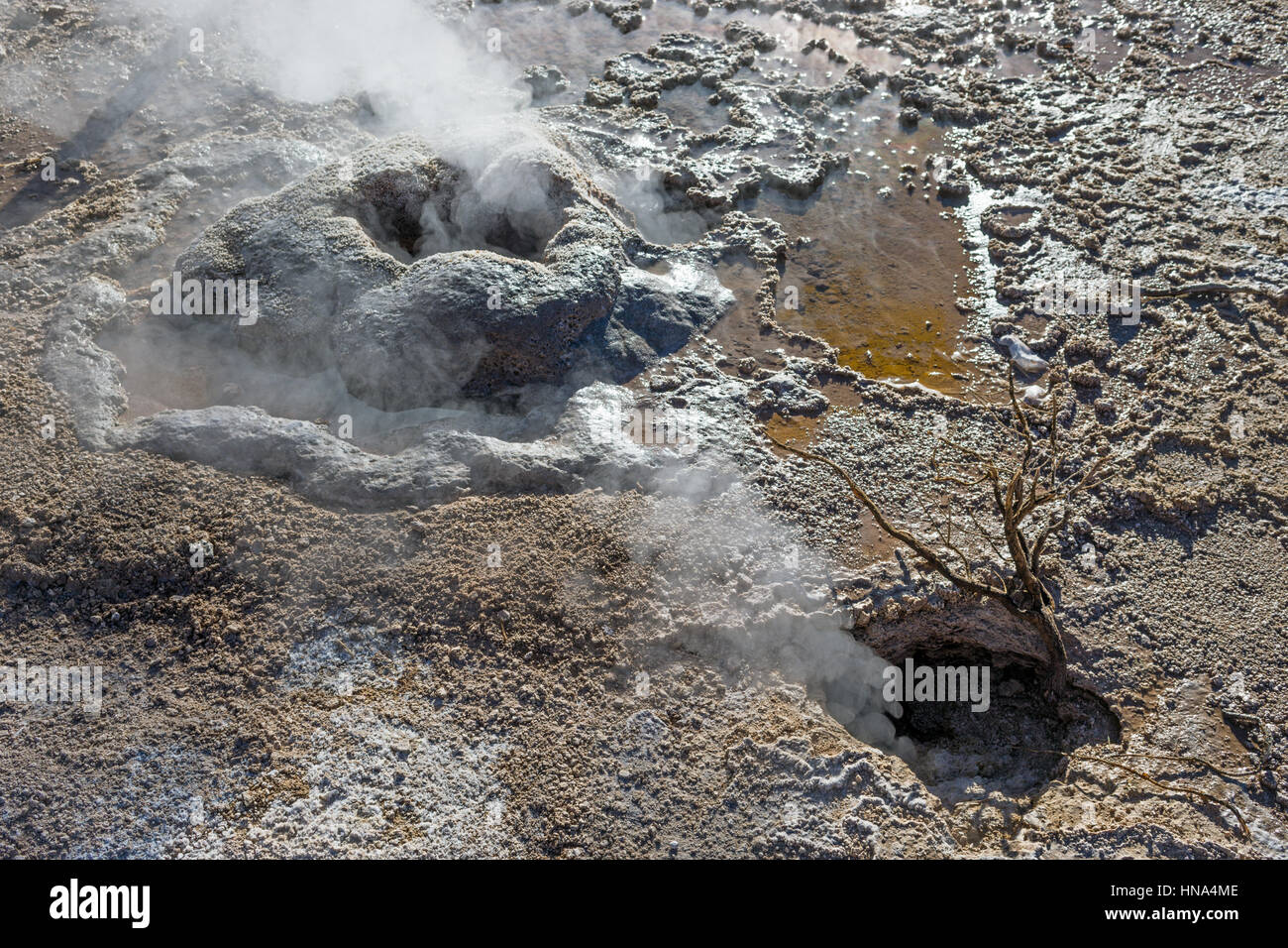 Geysers del Tatio, the largest geyser field in the southern hemisphere ...