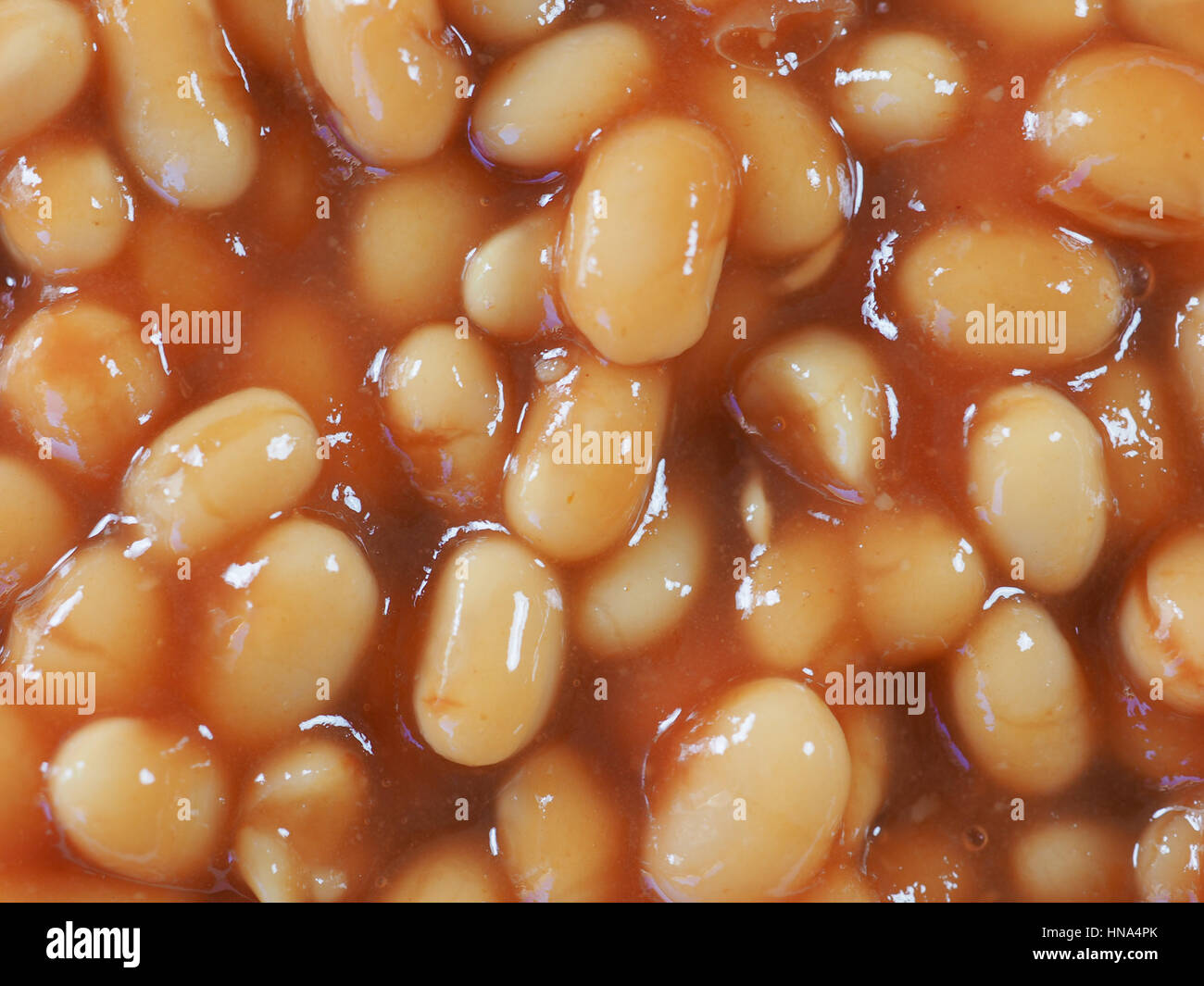 baked beans food in a tomato sauce Stock Photo - Alamy