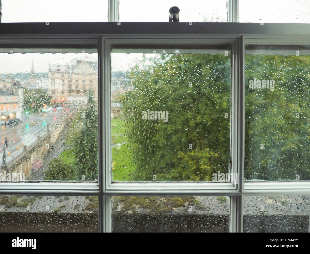 Wet window pane with rain water droplets and greenery background Stock Photo - Alamy