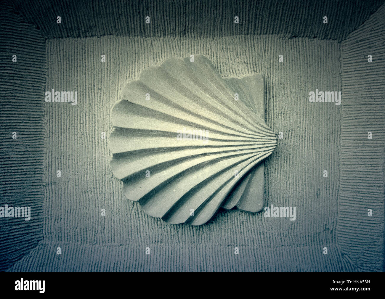 Pilgrim shell, symbol detail Camino de Santiago, pilgrims Stock Photo ...
