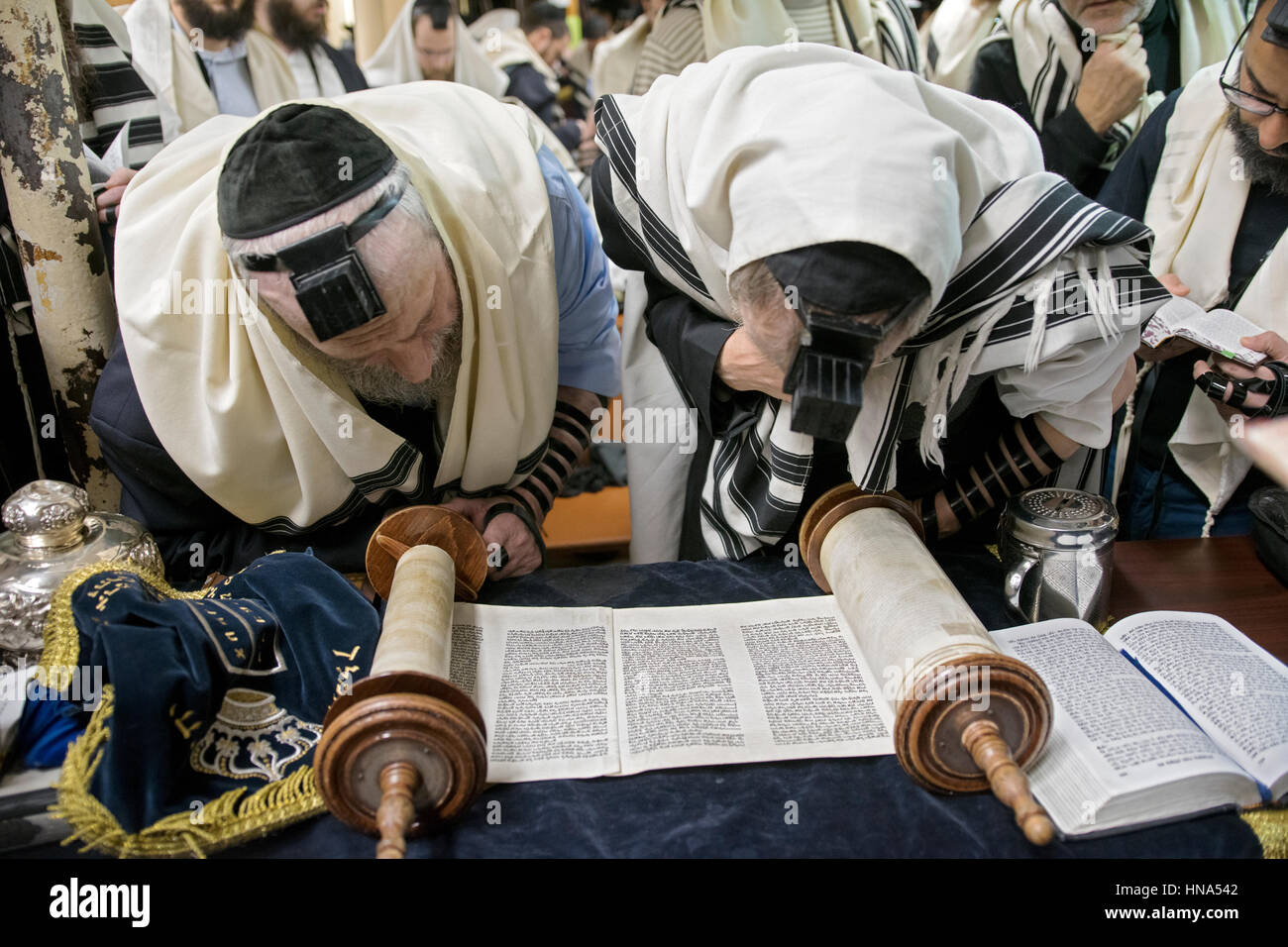 Ort Torah Reading