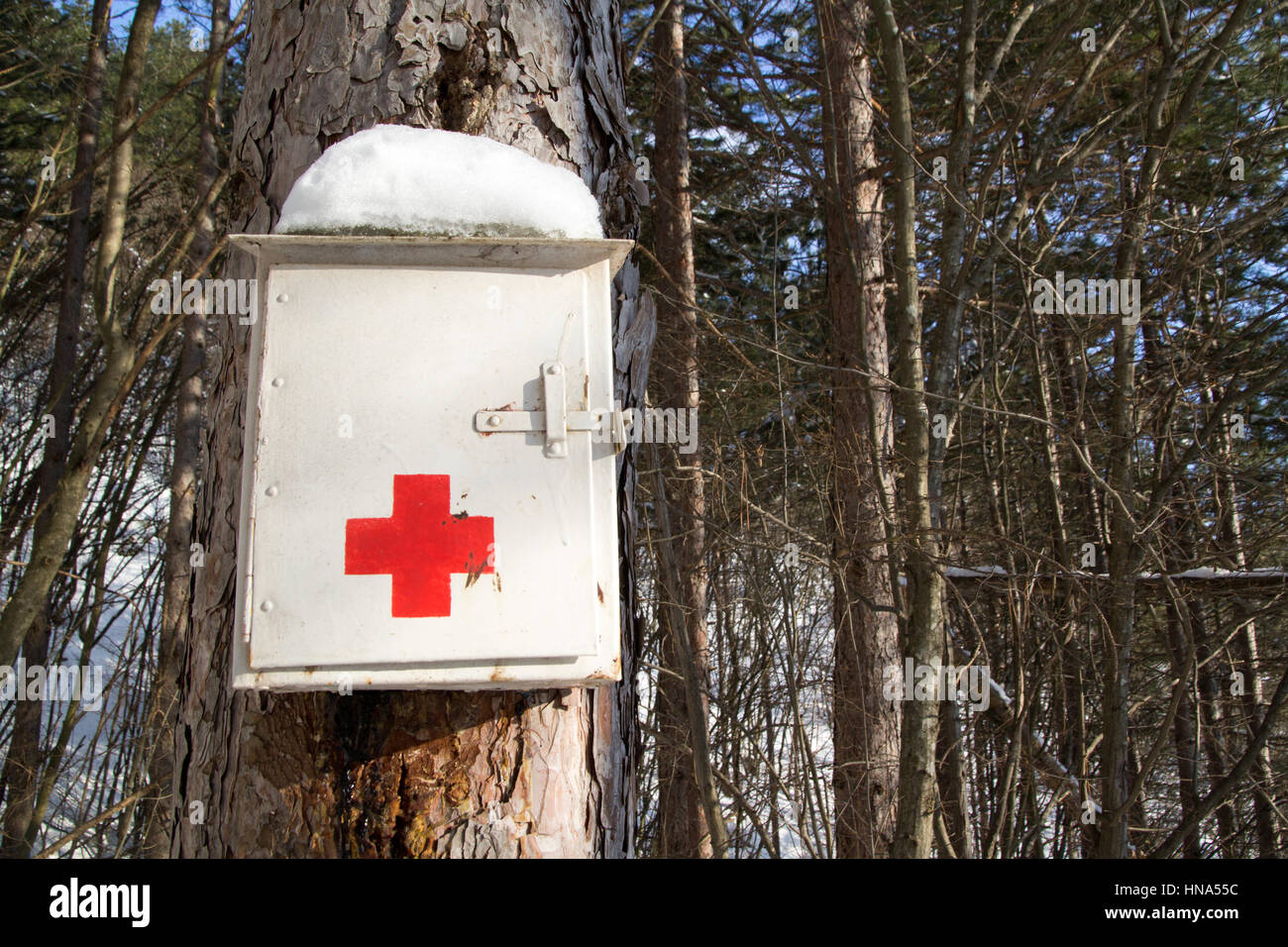 Wooden Forrest Path High Resolution Stock Photography and Images - Alamy