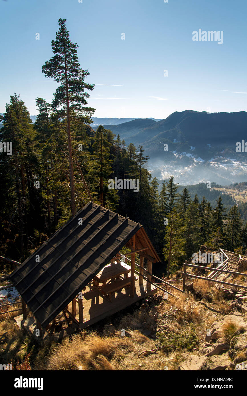 Bower in the mountain forest on a sunny day Stock Photo - Alamy
