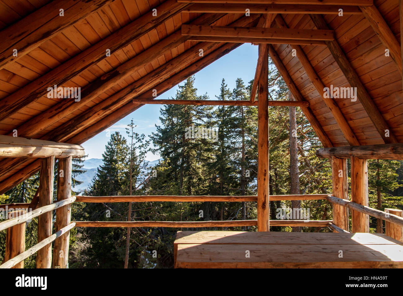 Inside a Bower in the mountain forest on a sunny day Stock Photo - Alamy