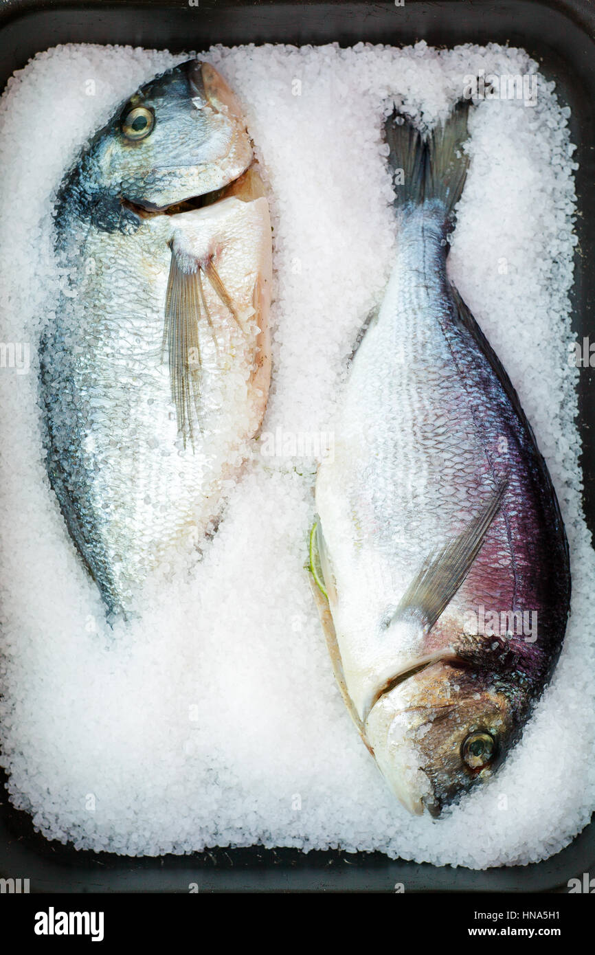 cooking Fish under the salt Crust. in baking sheet , a Summer lunch ...