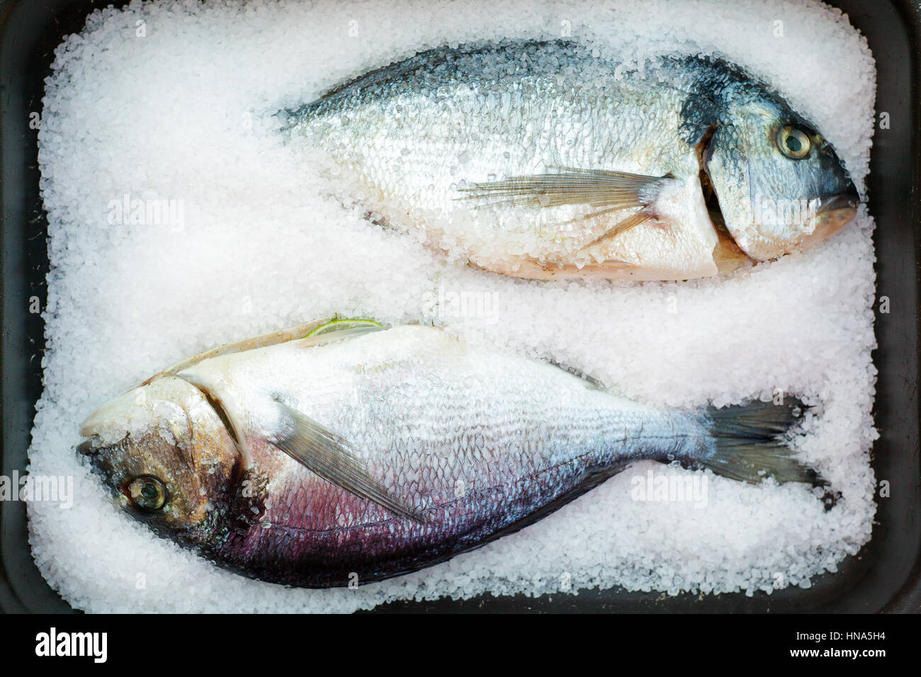 cooking Fish under the salt Crust. in baking sheet , a Summer lunch ...