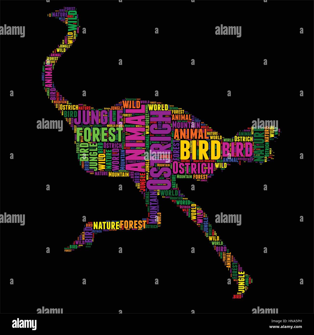 Ostrich Typography word cloud colorful Vector illustration Stock Vector ...