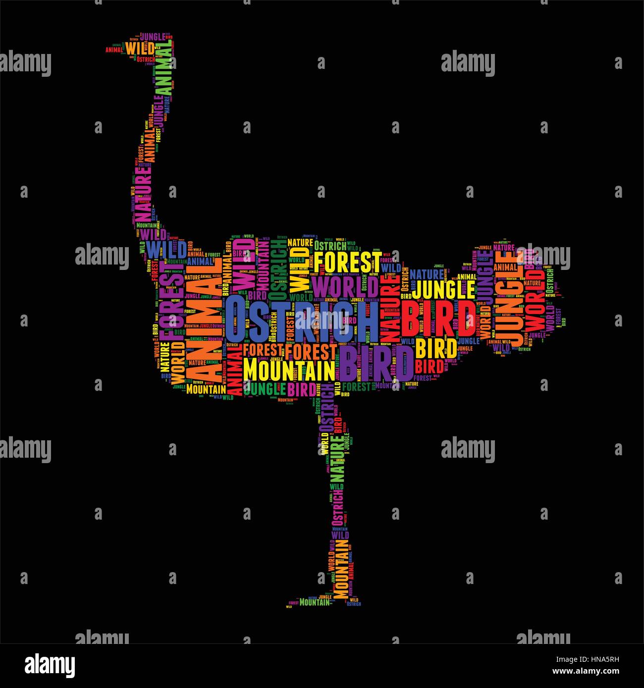 Ostrich Typography word cloud colorful Vector illustration Stock Vector ...