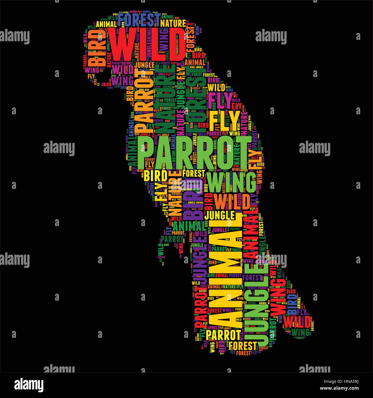 parrot Typography word cloud colorful Vector illustration Stock Vector ...