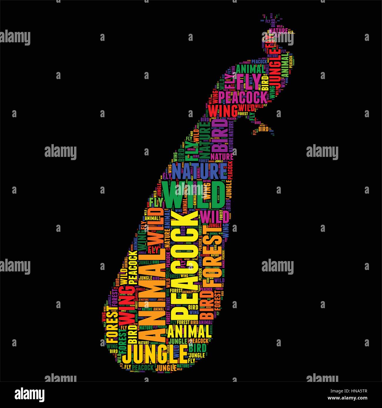 peacock Typography word cloud colorful Vector illustration Stock Vector ...