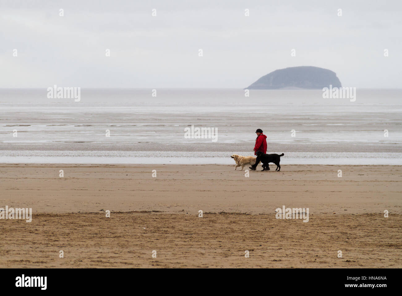 Lady walker her dog hi-res stock photography and images - Alamy