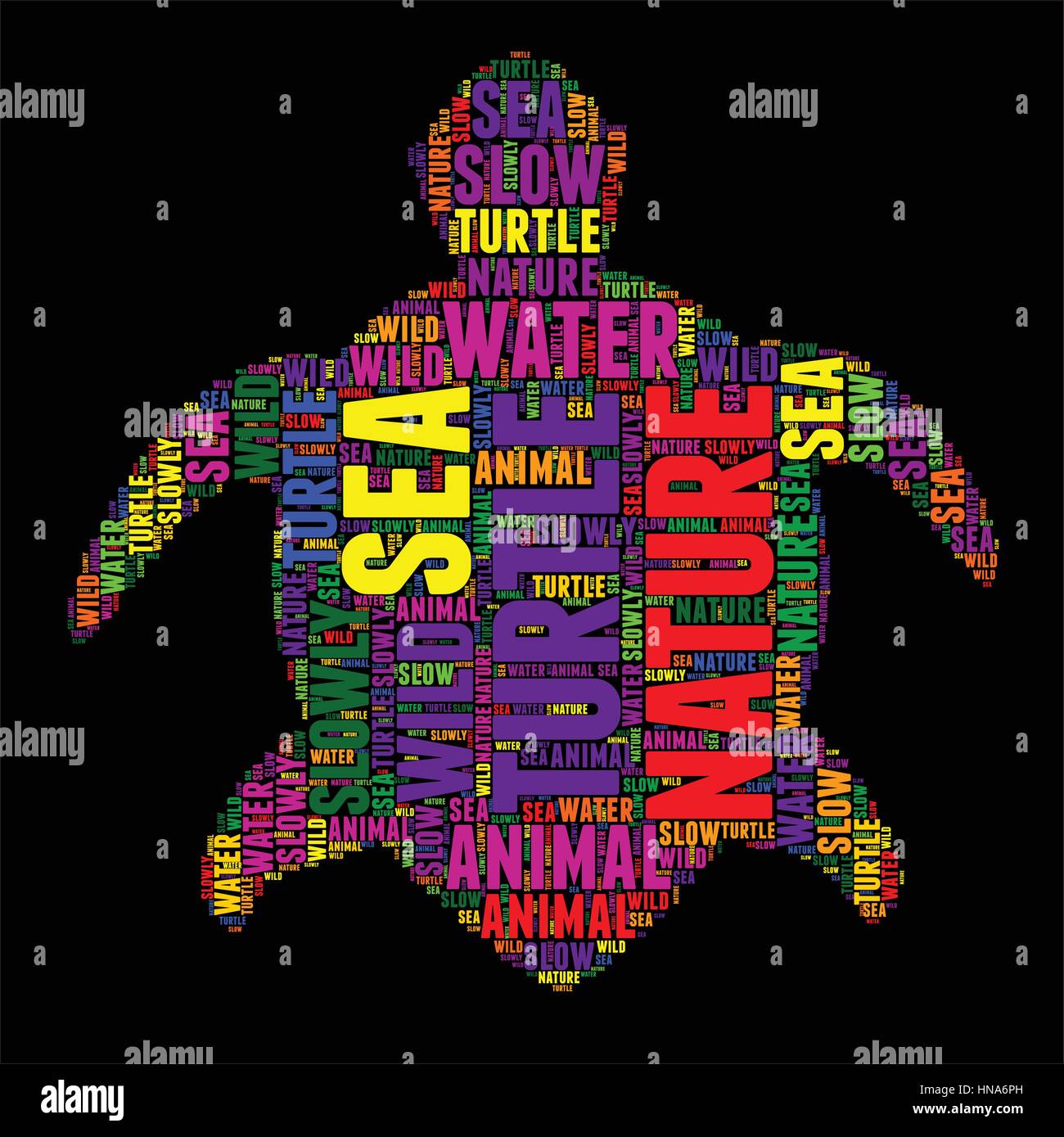turtle Typography word cloud colorful Vector illustration Stock Vector ...
