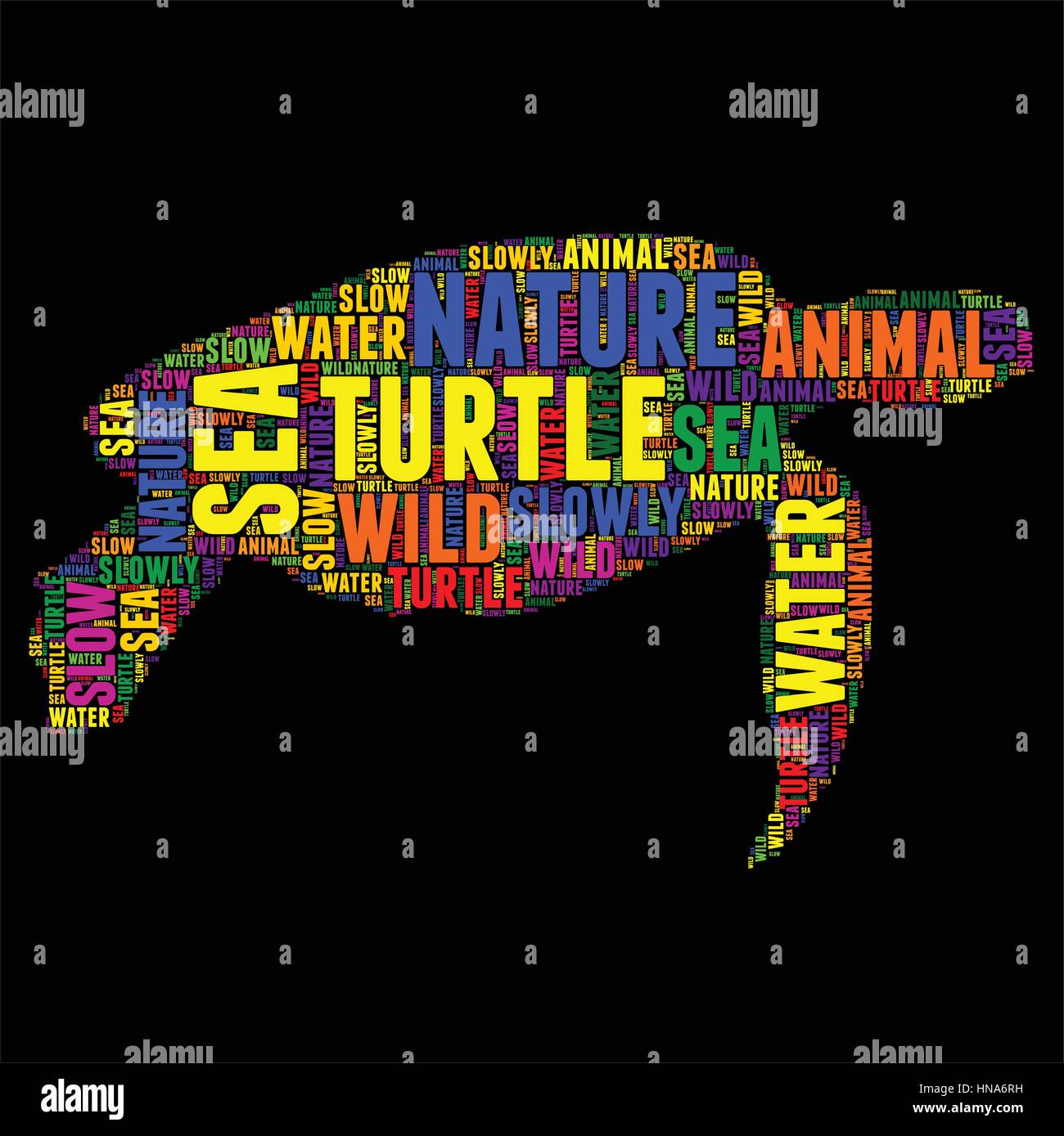 turtle Typography word cloud colorful Vector illustration Stock Vector ...