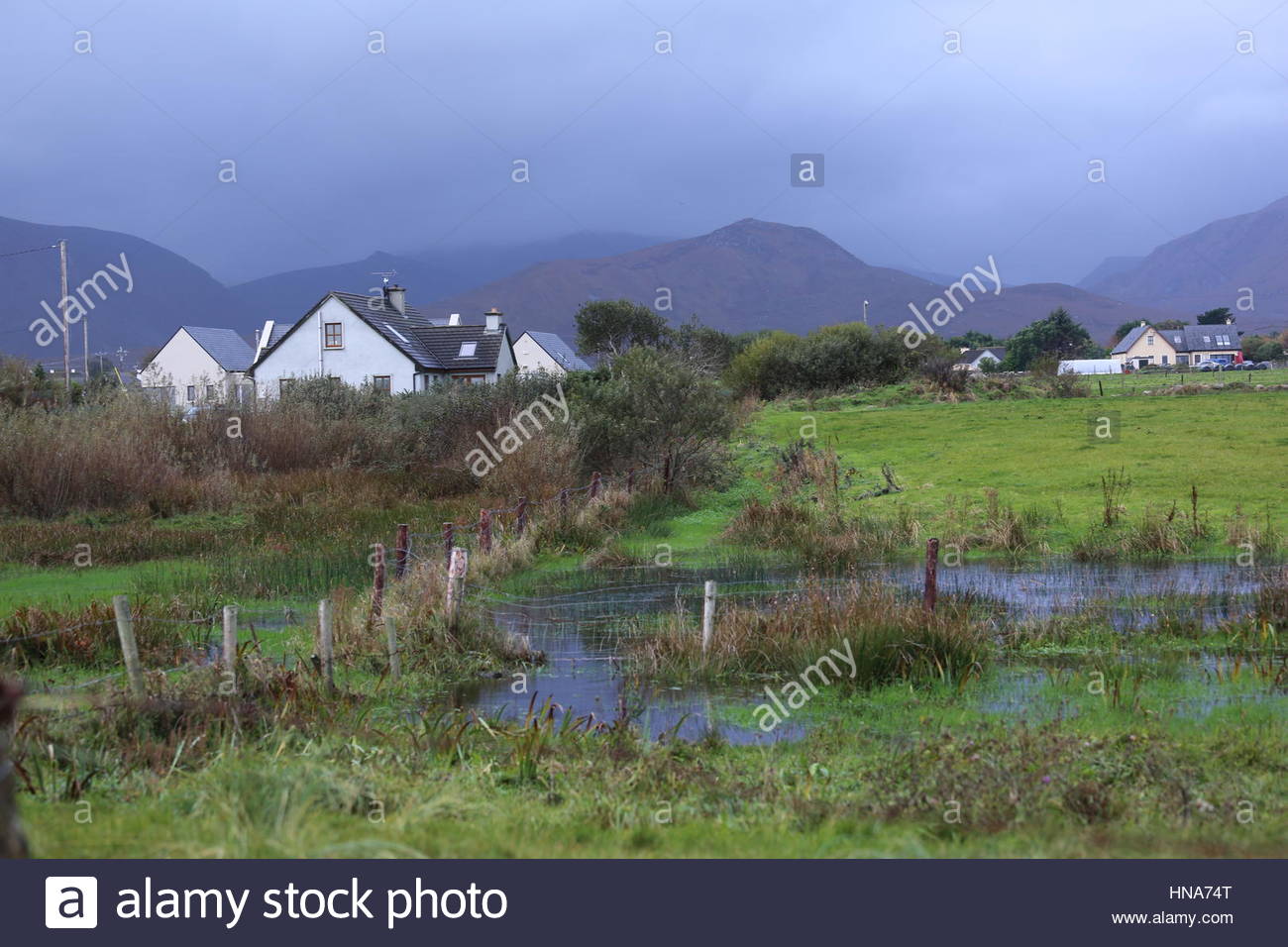 Wetlands ireland hi-res stock photography and images - Alamy