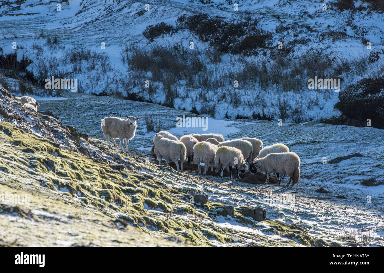 Swaledale winter hi-res stock photography and images - Alamy