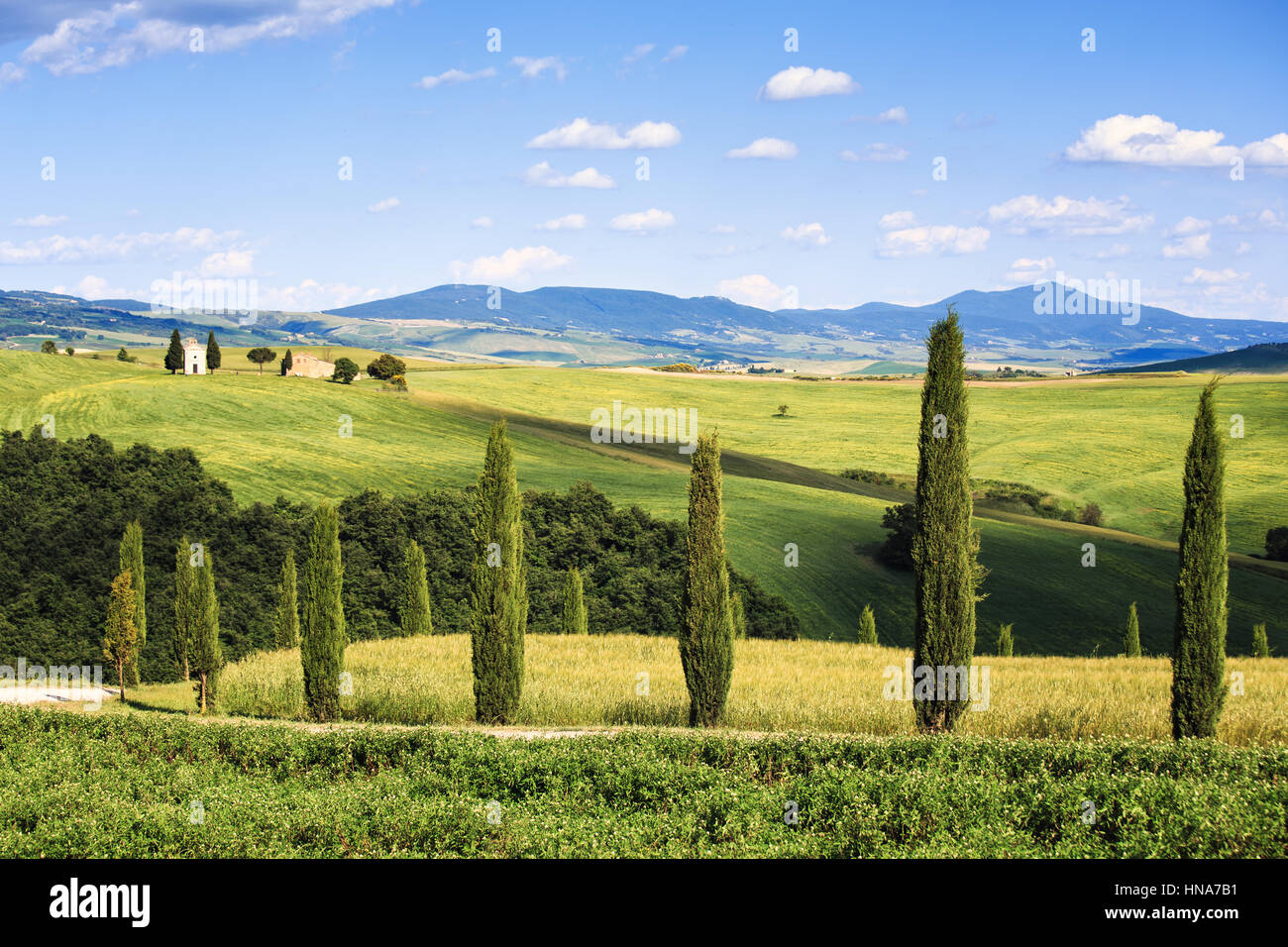 Tuscany, italian rural landscape, cypress trees Vitaleta chapel on ...