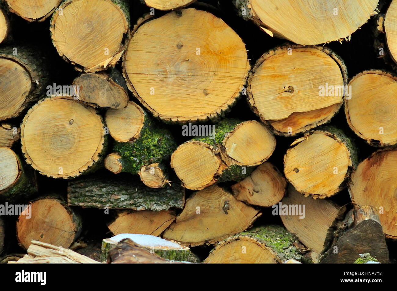 Unsplit ash firewood hi-res stock photography and images - Alamy