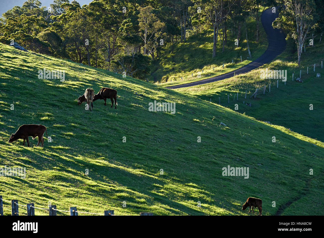 Rolling pastures hi-res stock photography and images - Alamy