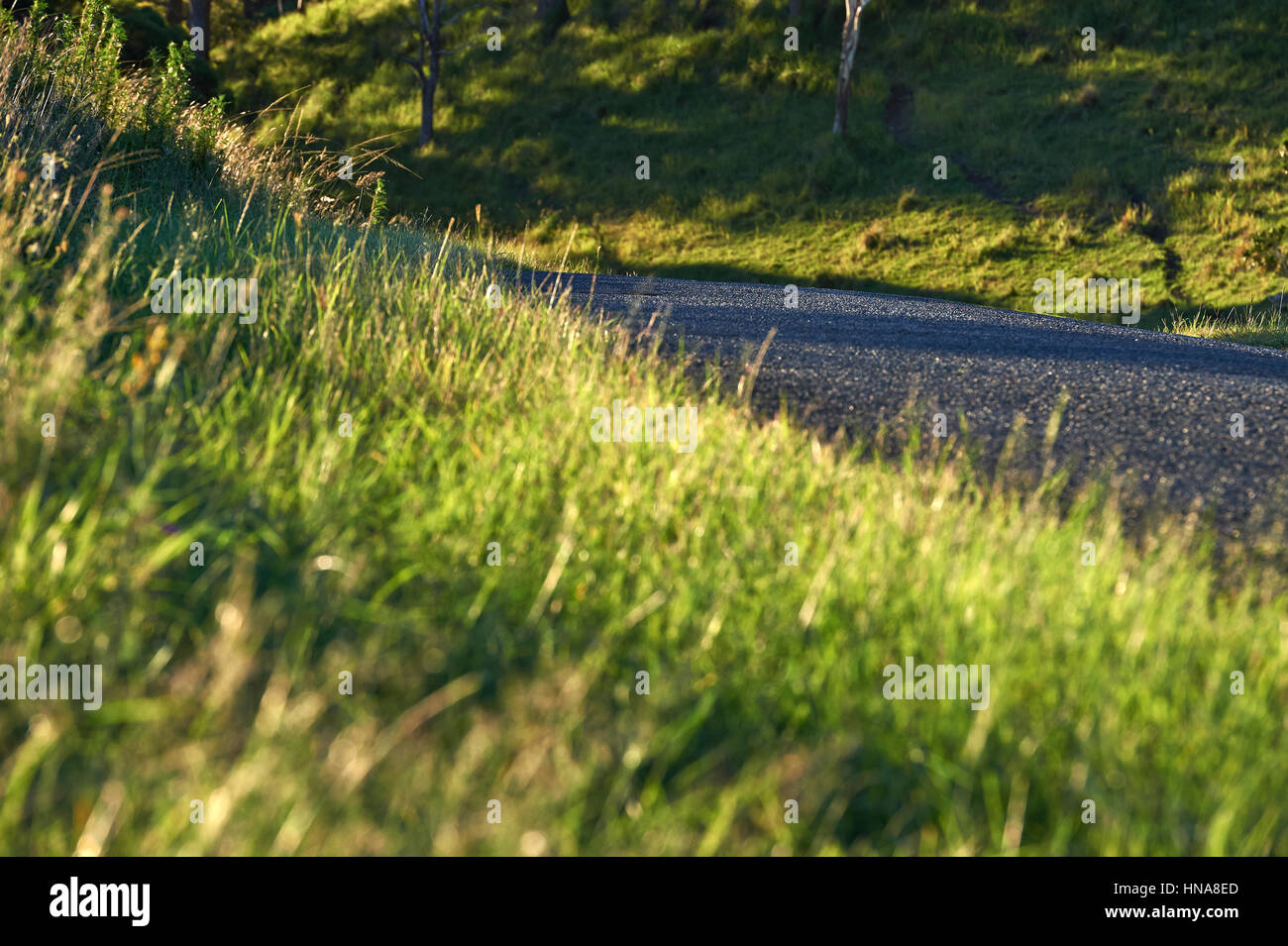 Small section of bitumen road in a rural setting Stock Photo - Alamy