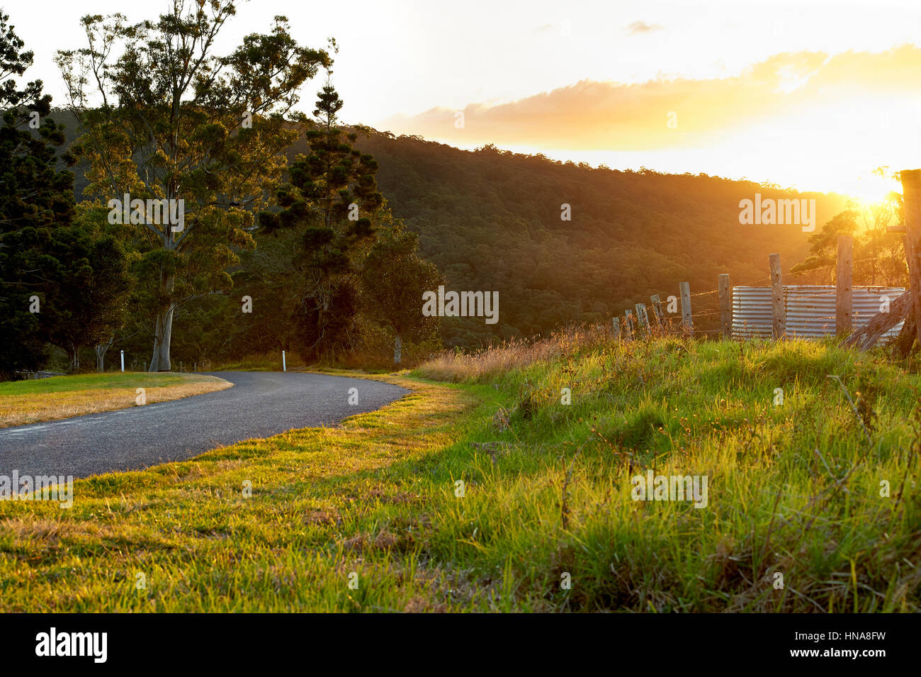 Bitumen road bathed in the last golden rays of sun in a rural setting ...
