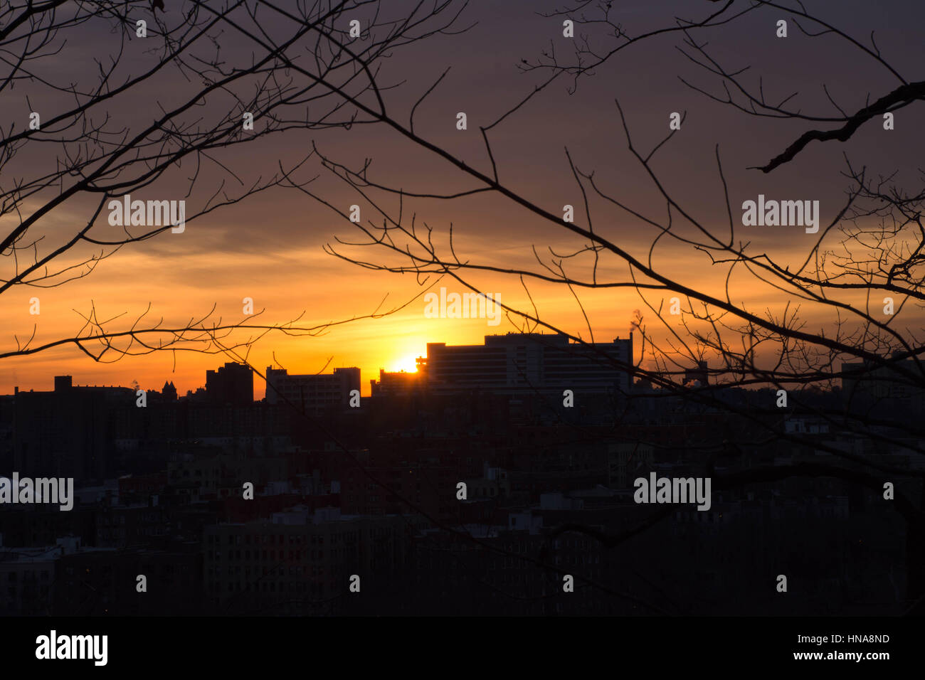 Inwood hill park sunrise hi-res stock photography and images - Alamy
