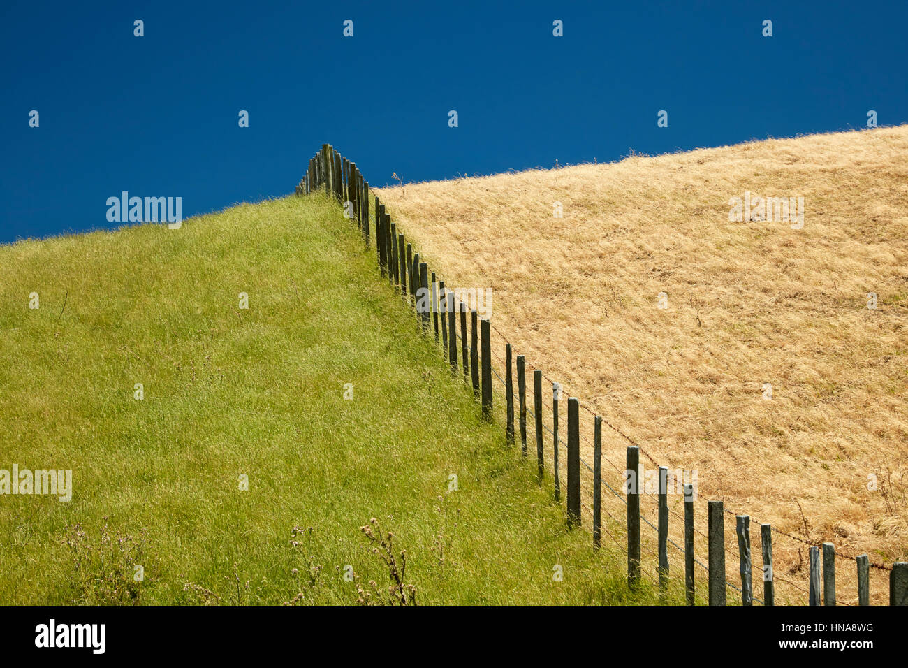 New zealand fence hi-res stock photography and images - Alamy