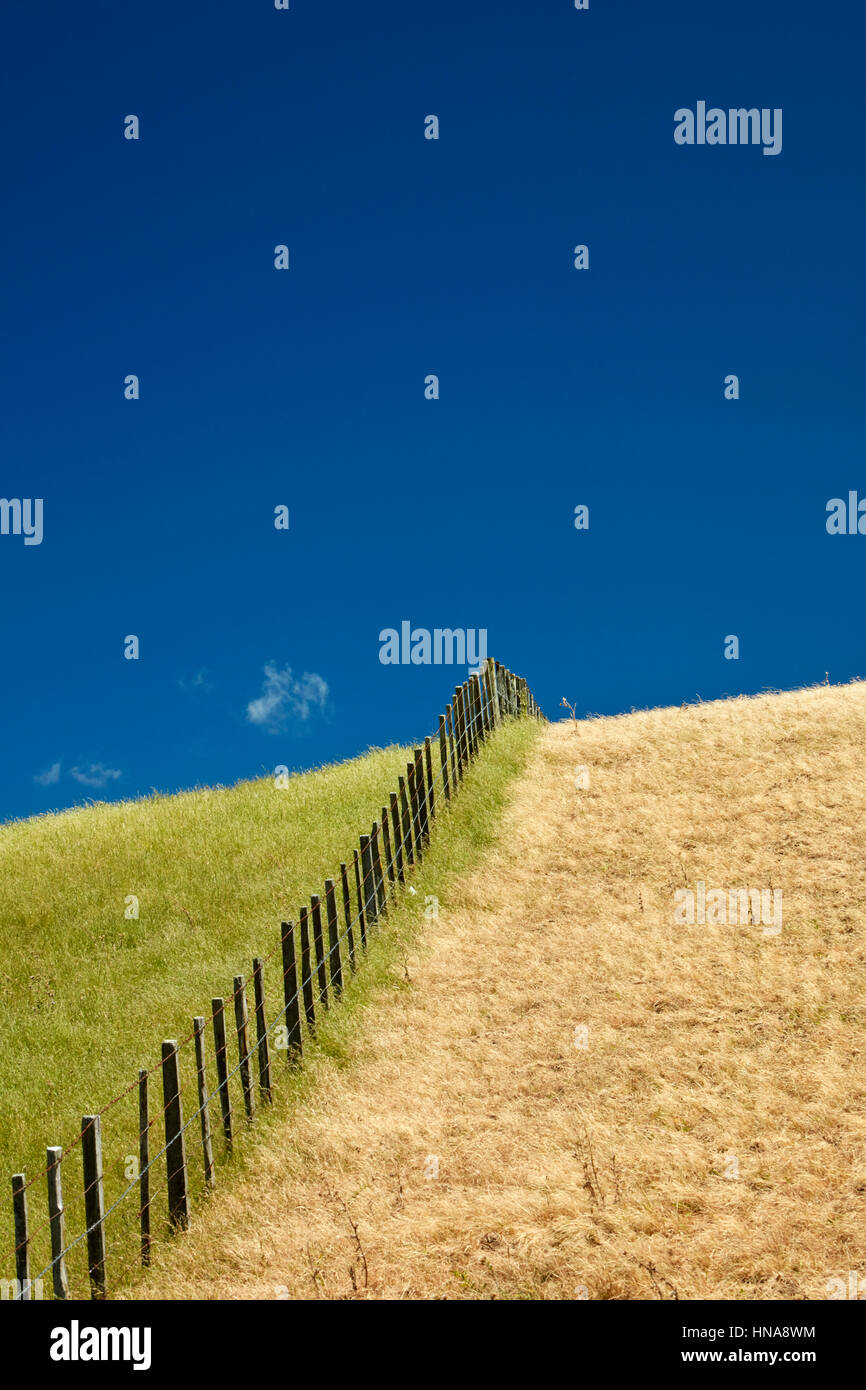 New zealand fence hi-res stock photography and images - Alamy