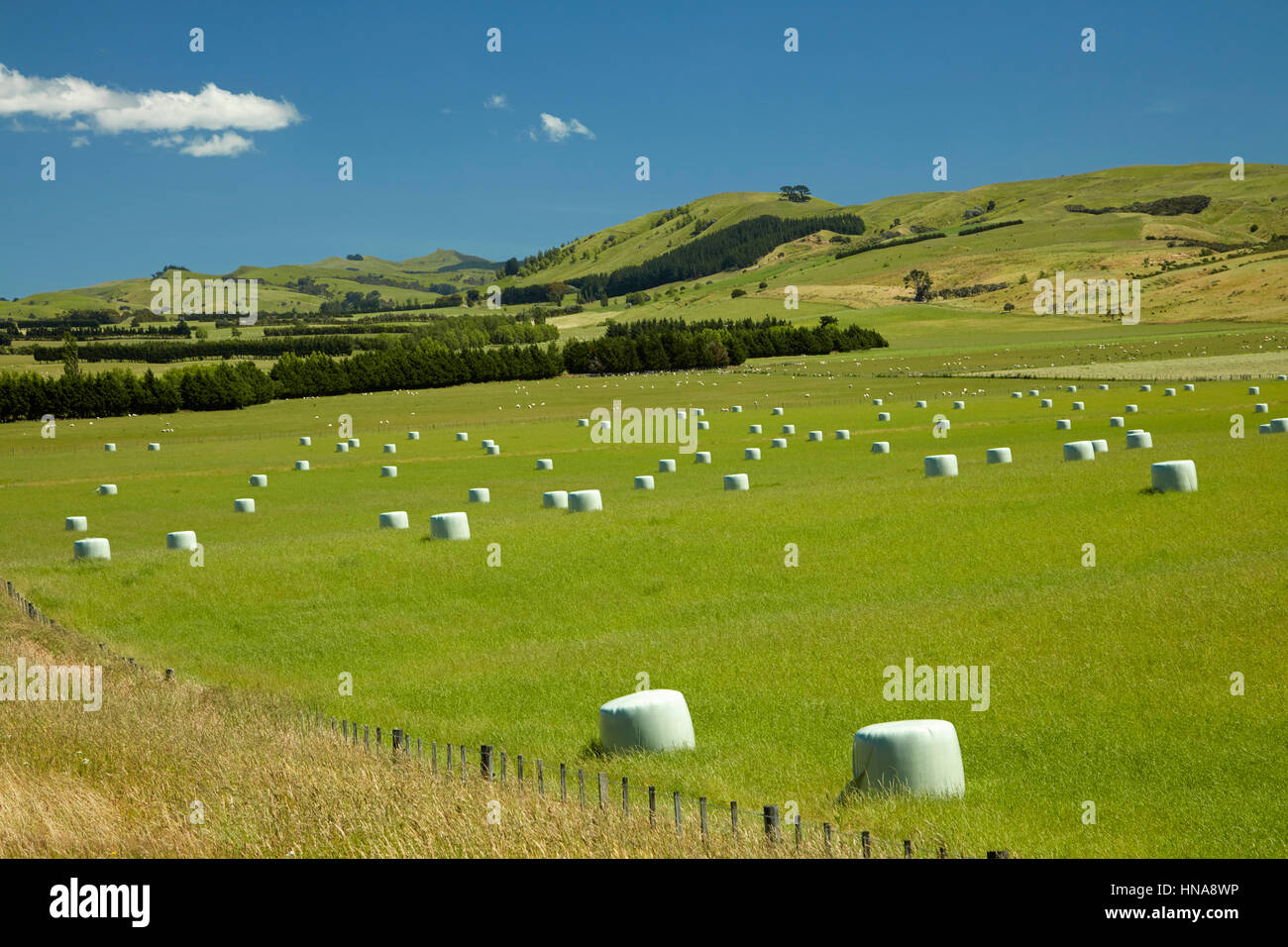Agriculture farmland hay bales green hi-res stock photography and ...