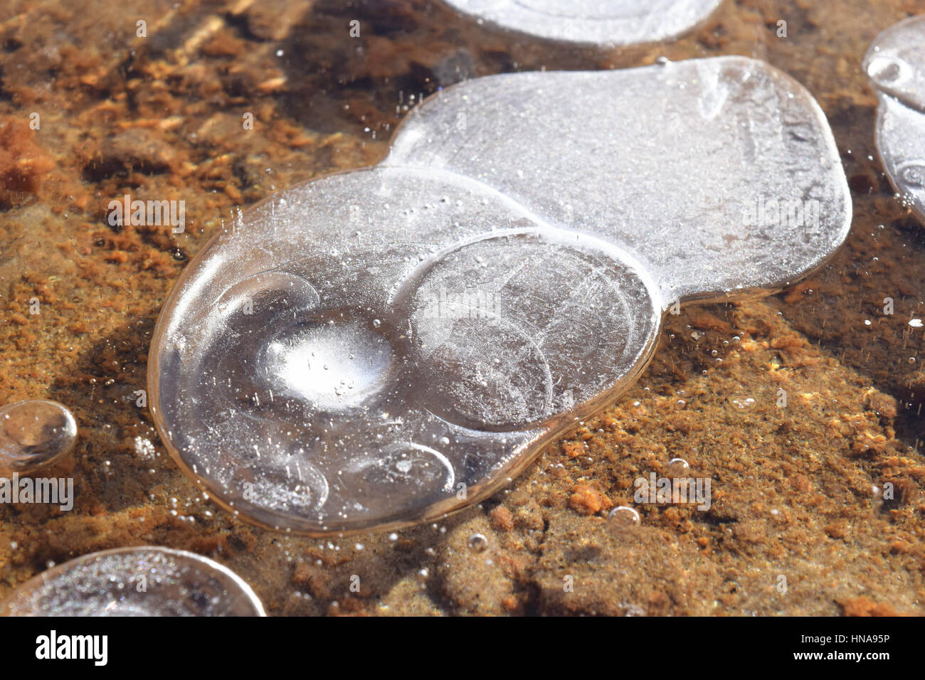 Frozen bubble on river surface Stock Photo - Alamy