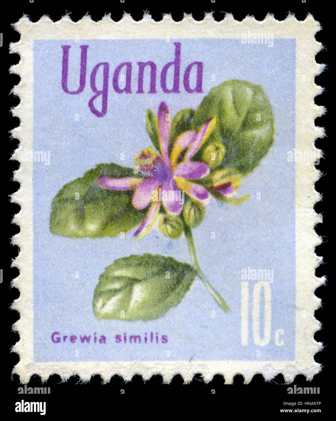 Postage stamp from Uganda in the Native Flora series issued in 1969 ...