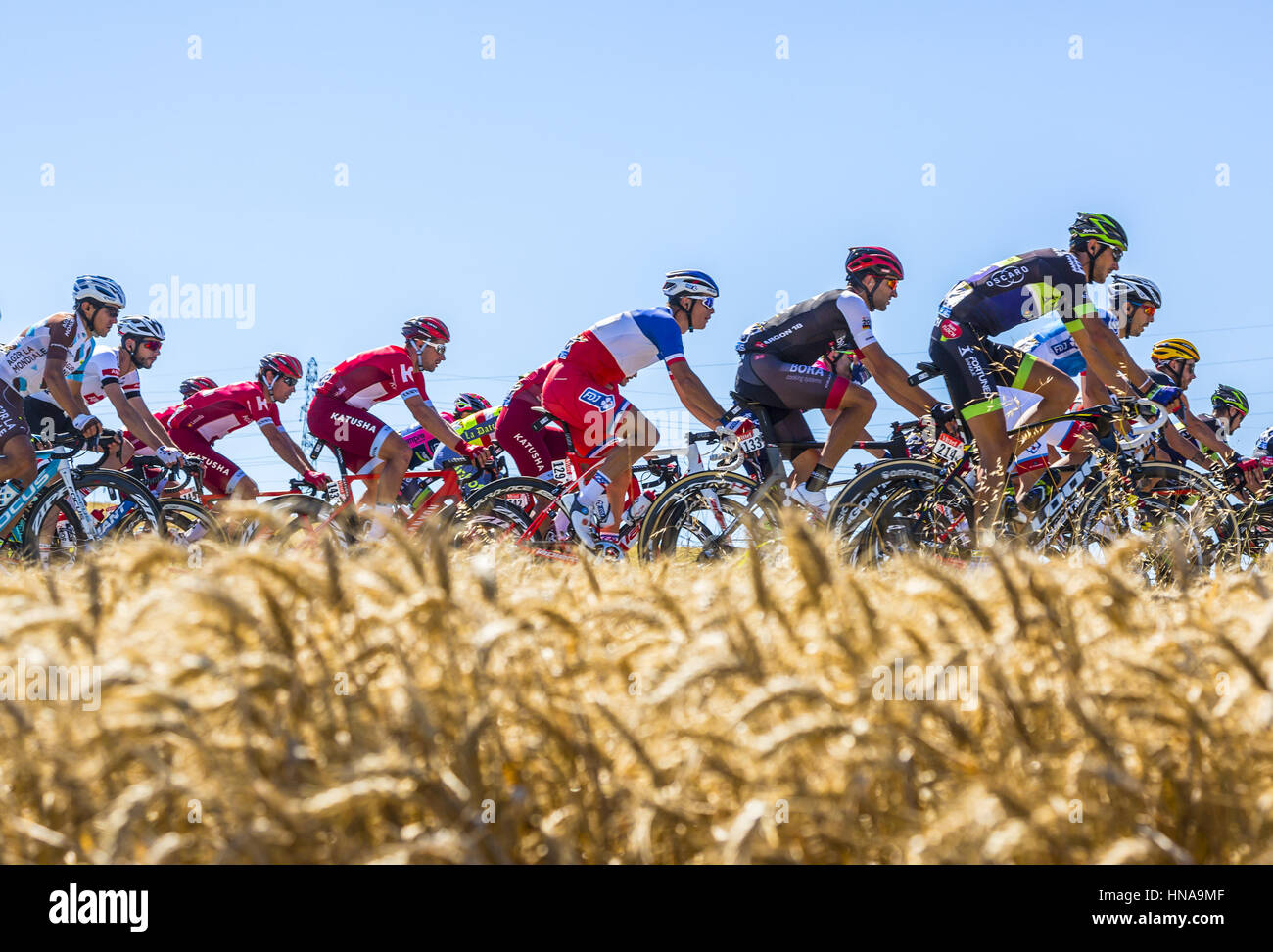 French national team cycling hi-res stock photography and images - Alamy