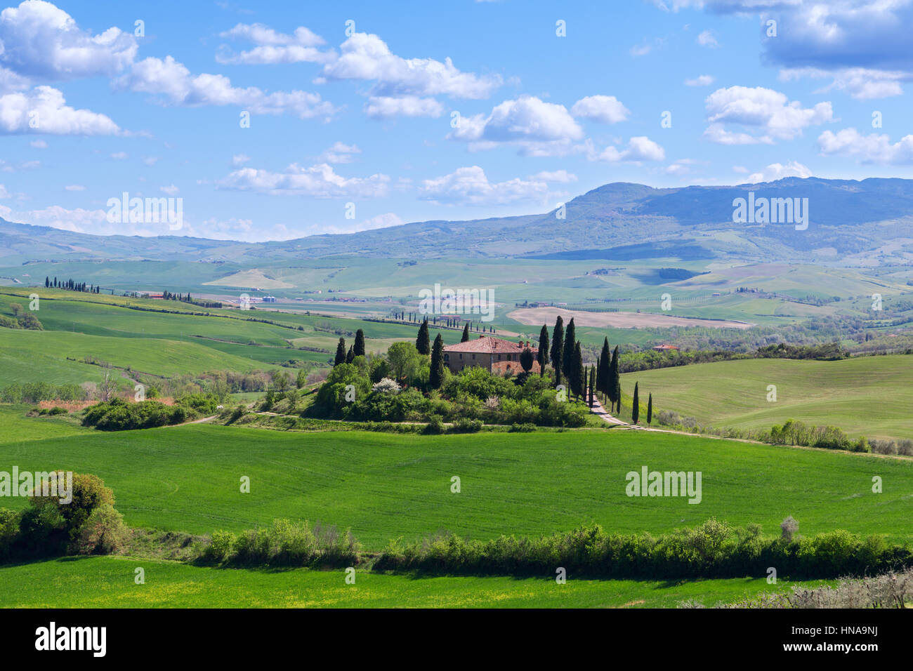 Farmhouse, green hills,cypress trees in Tuscany in Italy,Europe Stock ...