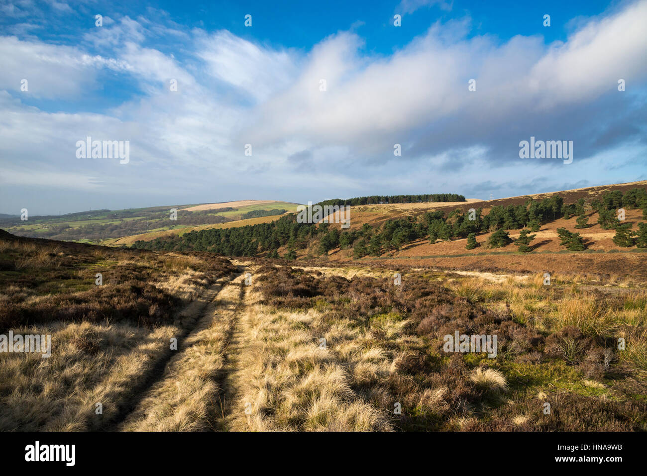 English moorland hi-res stock photography and images - Alamy