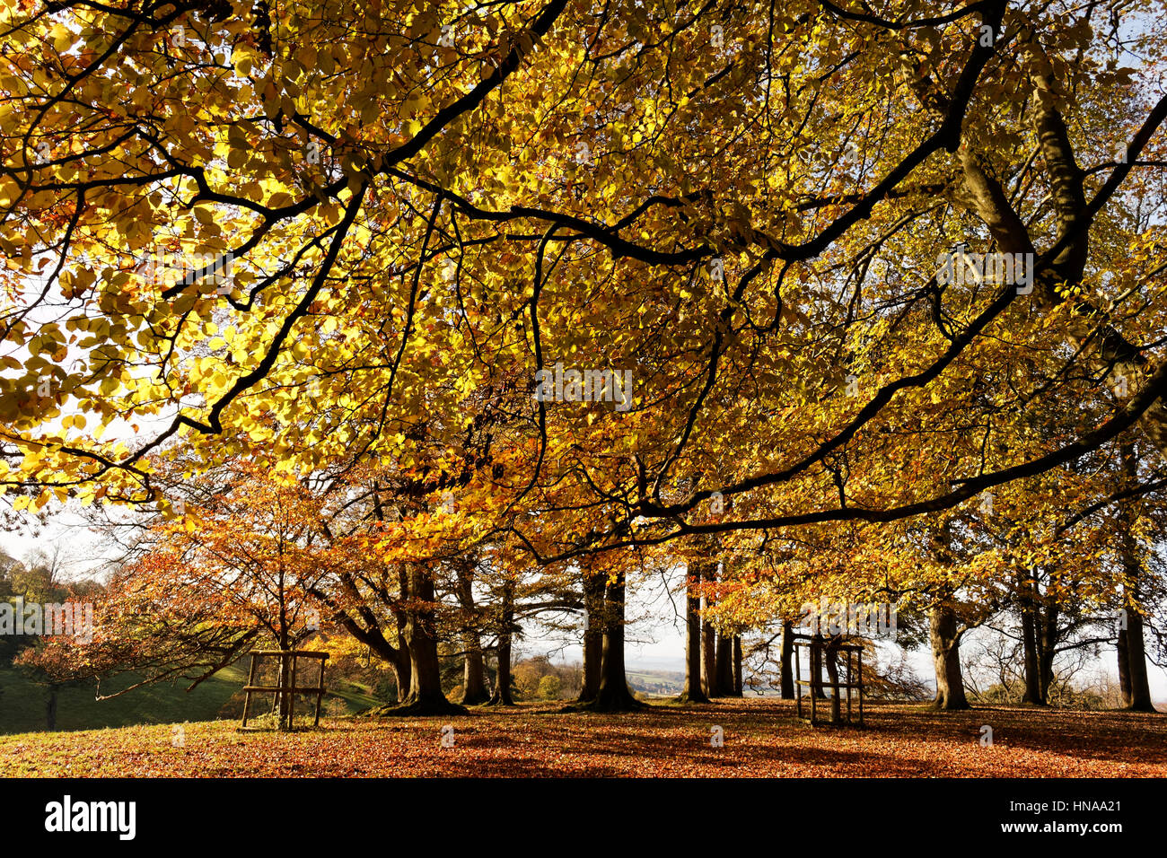 English autumn scenery hi-res stock photography and images - Alamy
