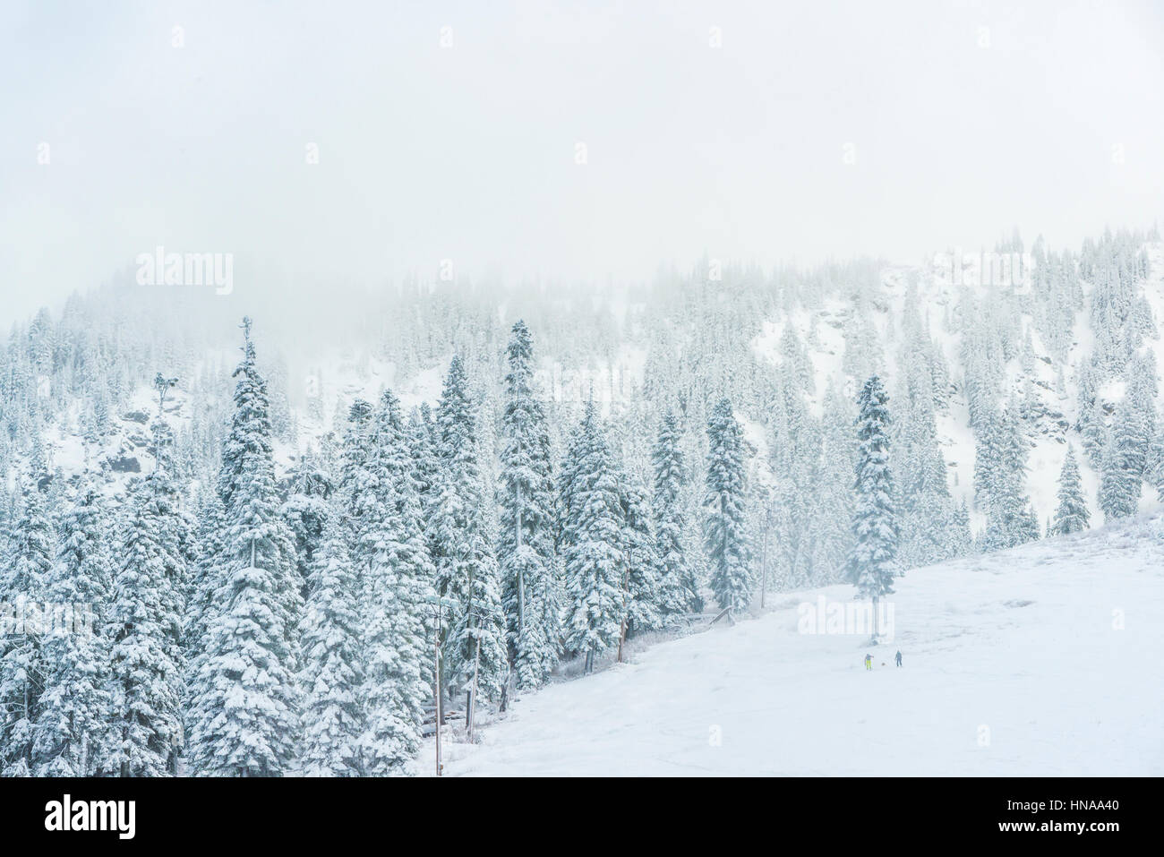 Skier mountain top snow scenic hi-res stock photography and images - Alamy