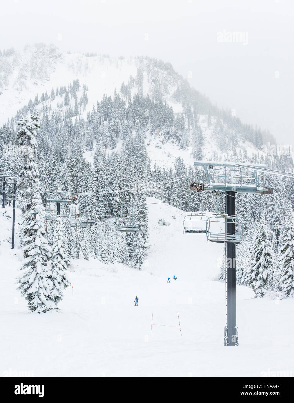 People skiing on ski hi-res stock photography and images - Alamy