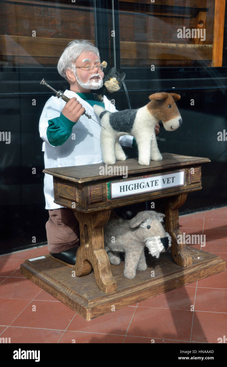 Humorous vet shop window display, Highgate, London, UK Stock Photo - Alamy