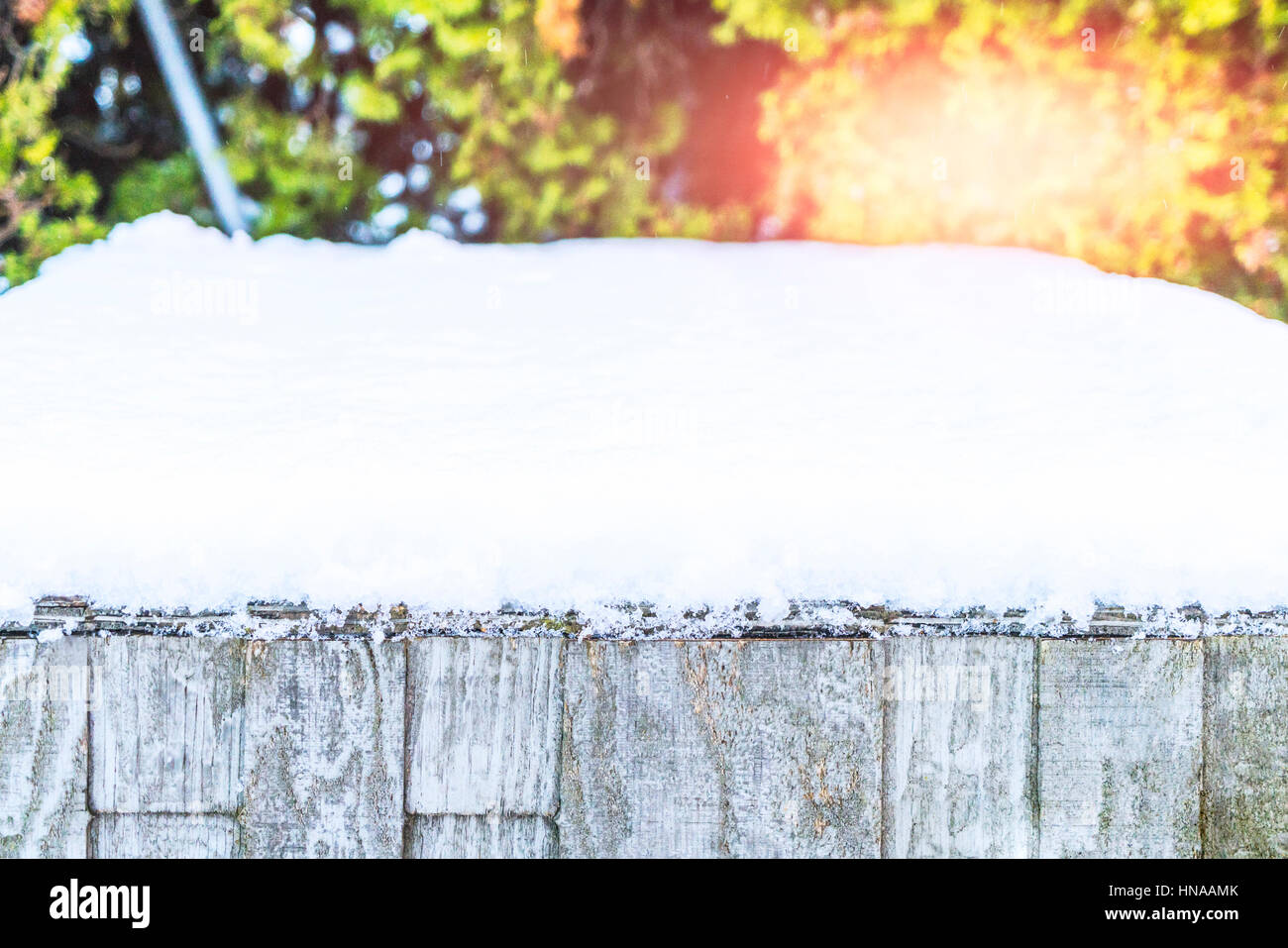 snow table wih forest background,Ready for product display montage ...