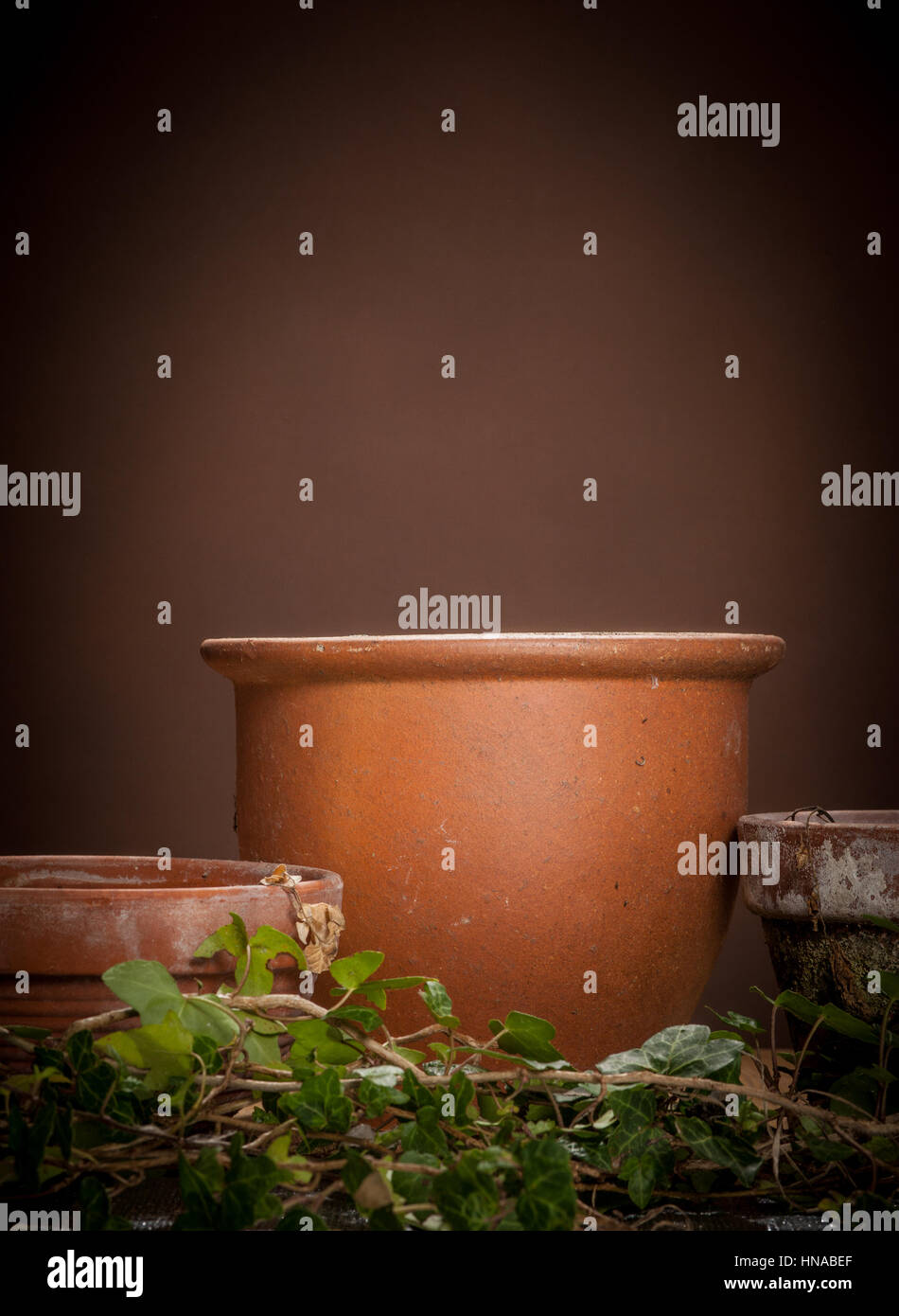 Flower pots in a studio Stock Photo - Alamy