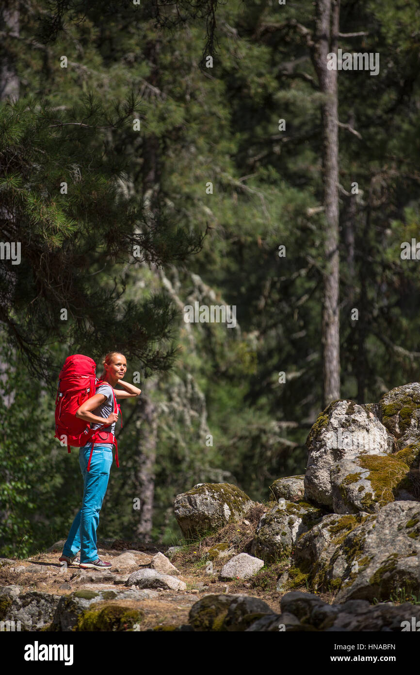 Pretty, young female hiker walking through a splendid old pine forest ...