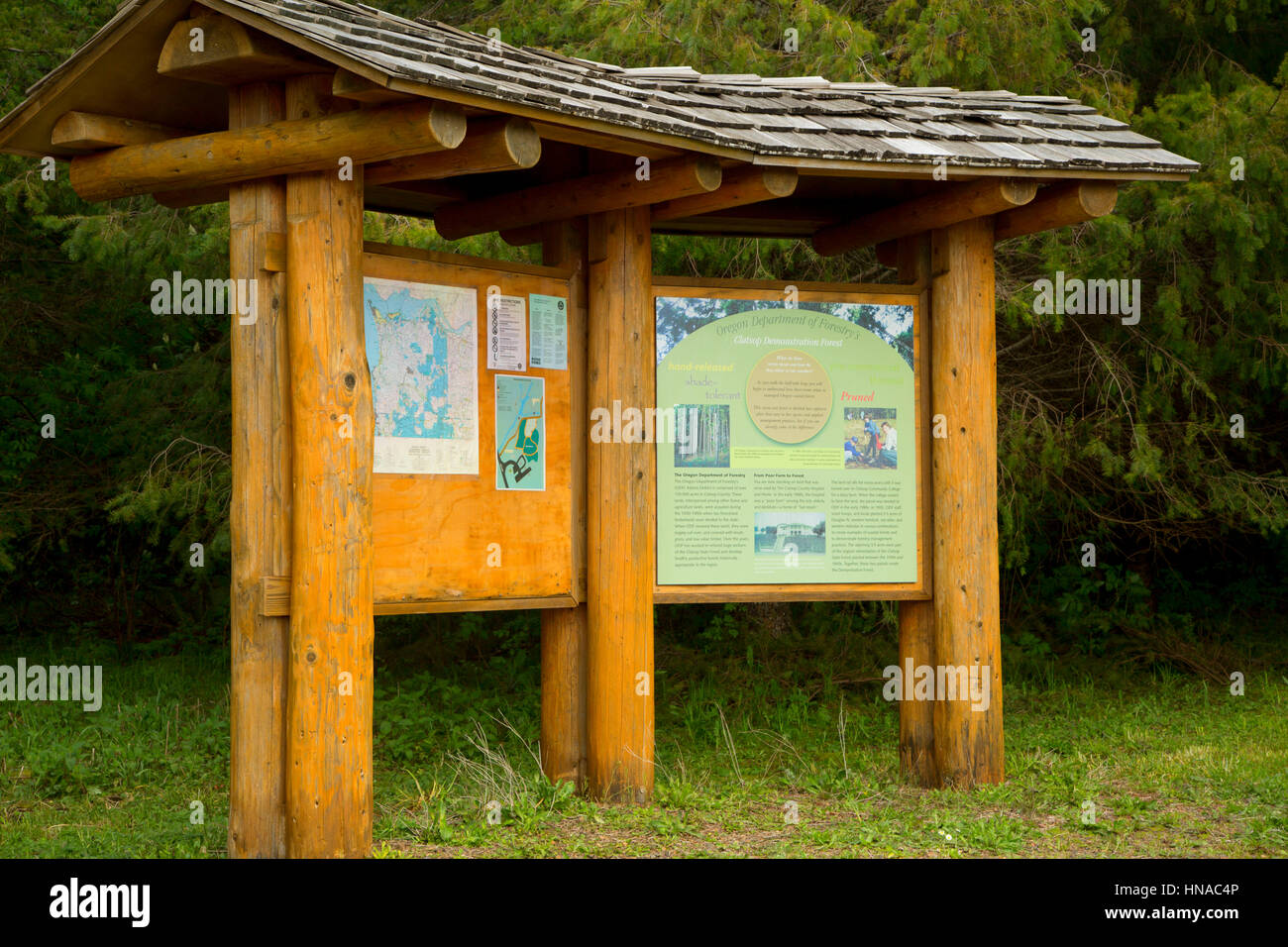Trailhead kiosk on Demonstration Forest Trail, Clatsop State Forest ...