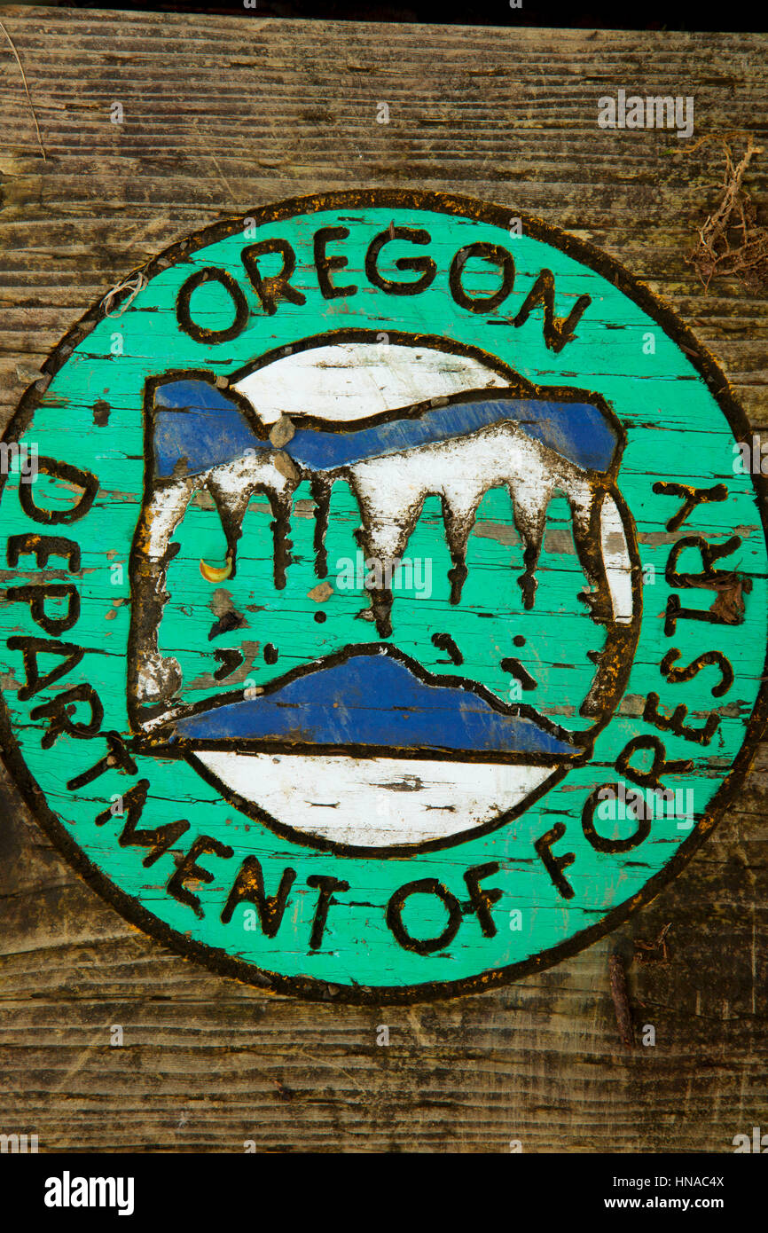 Forestry trail hi-res stock photography and images - Alamy