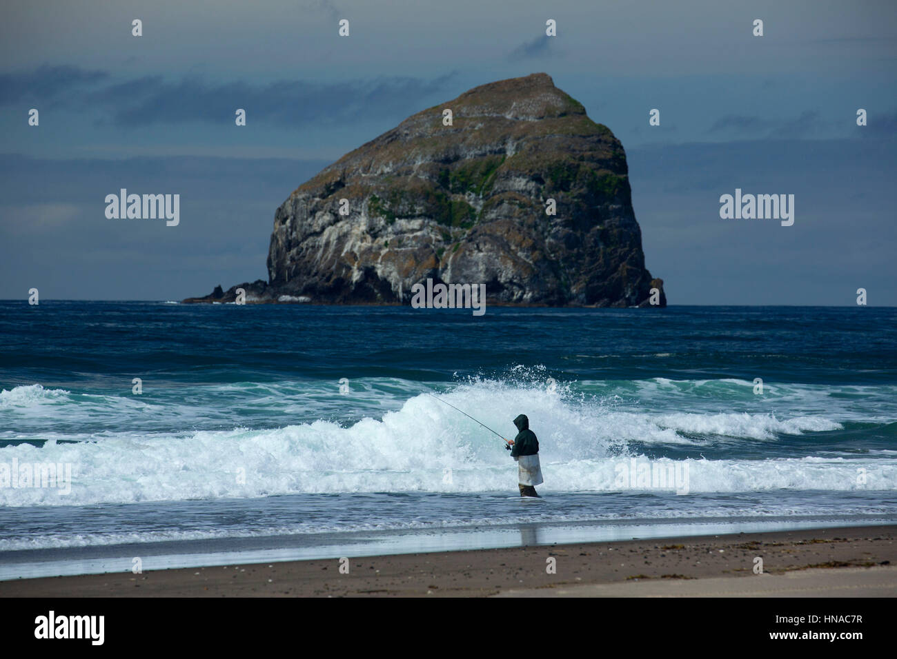 Surf fishing on beach to Haystack Rock, Governor Straub State Park ...