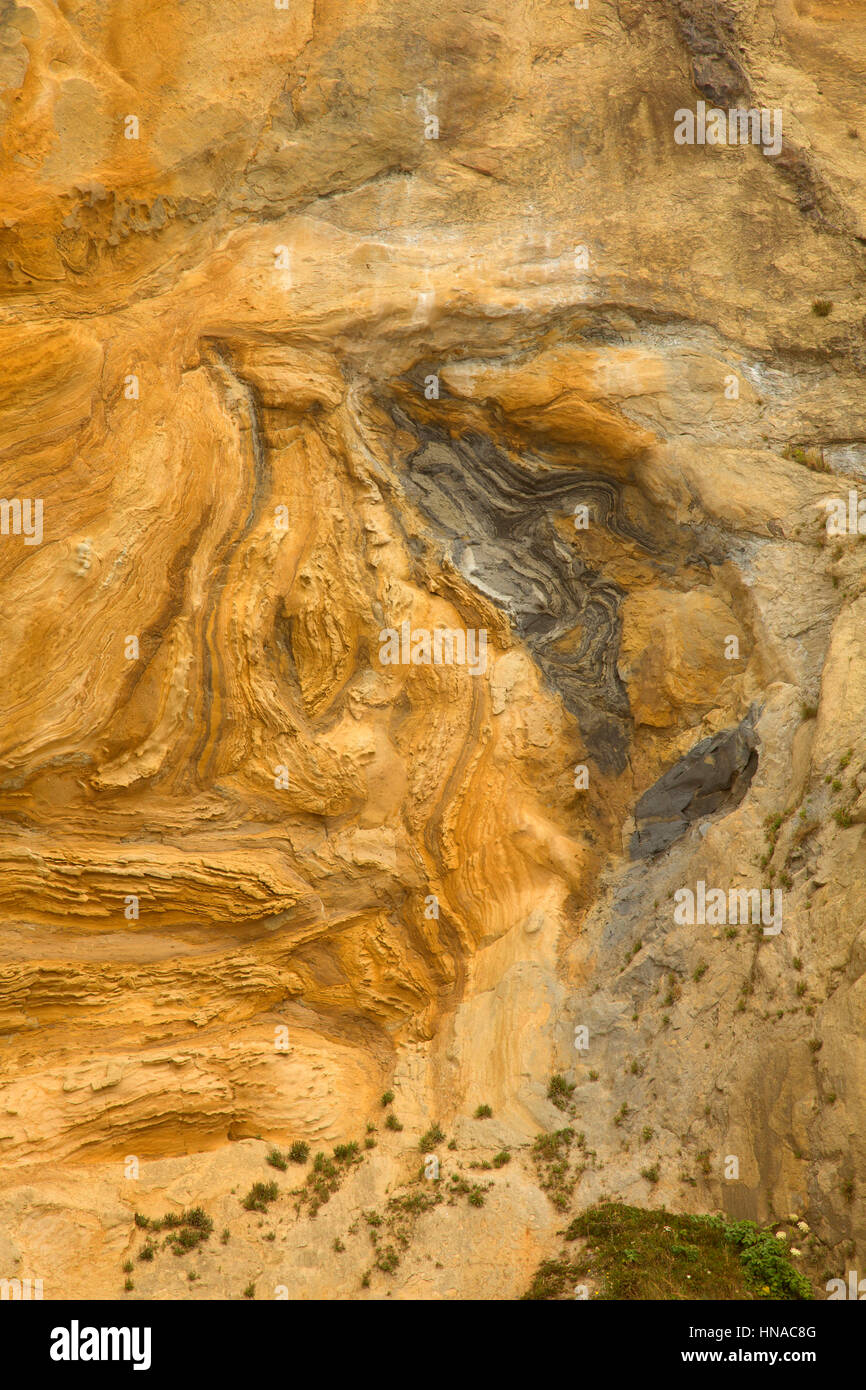 Beach cliff, Arcadia State Park, Oregon Stock Photo - Alamy