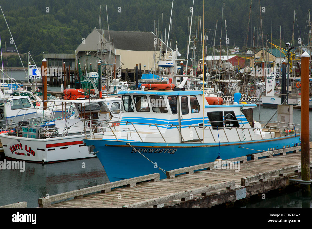 Garibaldi Marina, Garibaldi, Oregon Stock Photo - Alamy