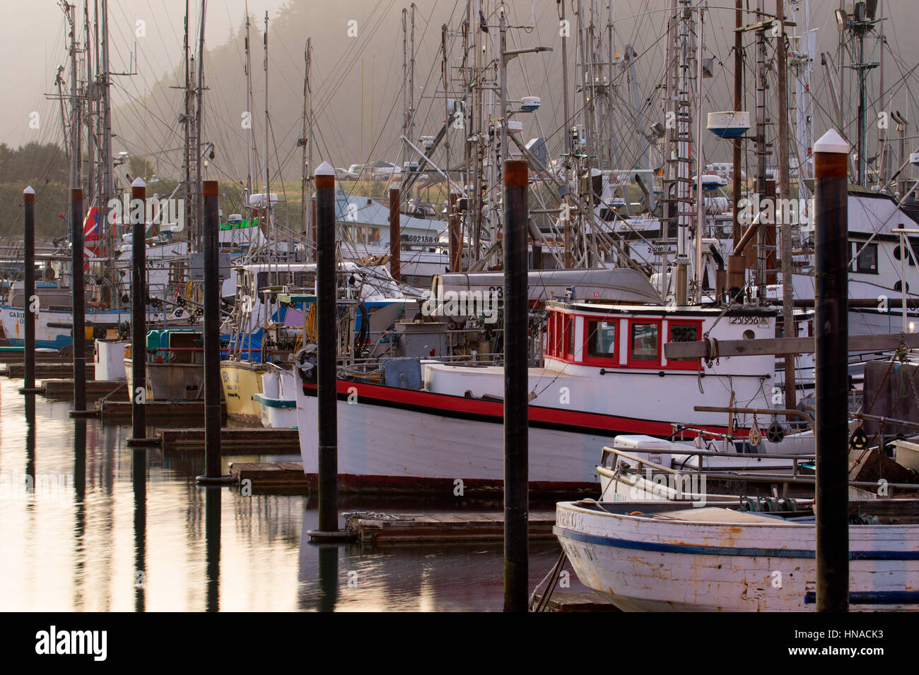 Docked boats, Garibaldi Marina, Garibaldi, Oregon Stock Photo - Alamy